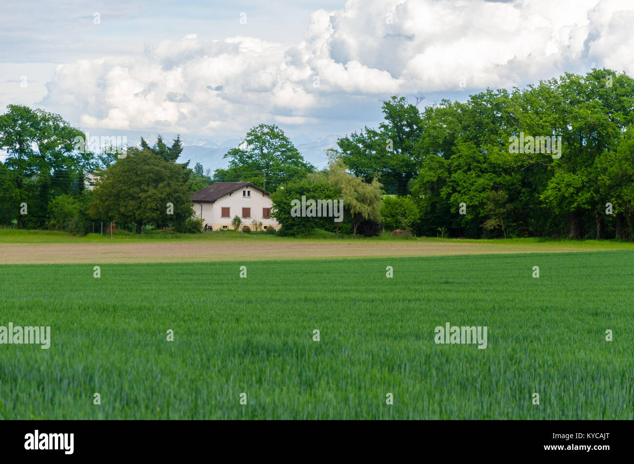 Isolated house in field scenery hi-res stock photography and images - Alamy