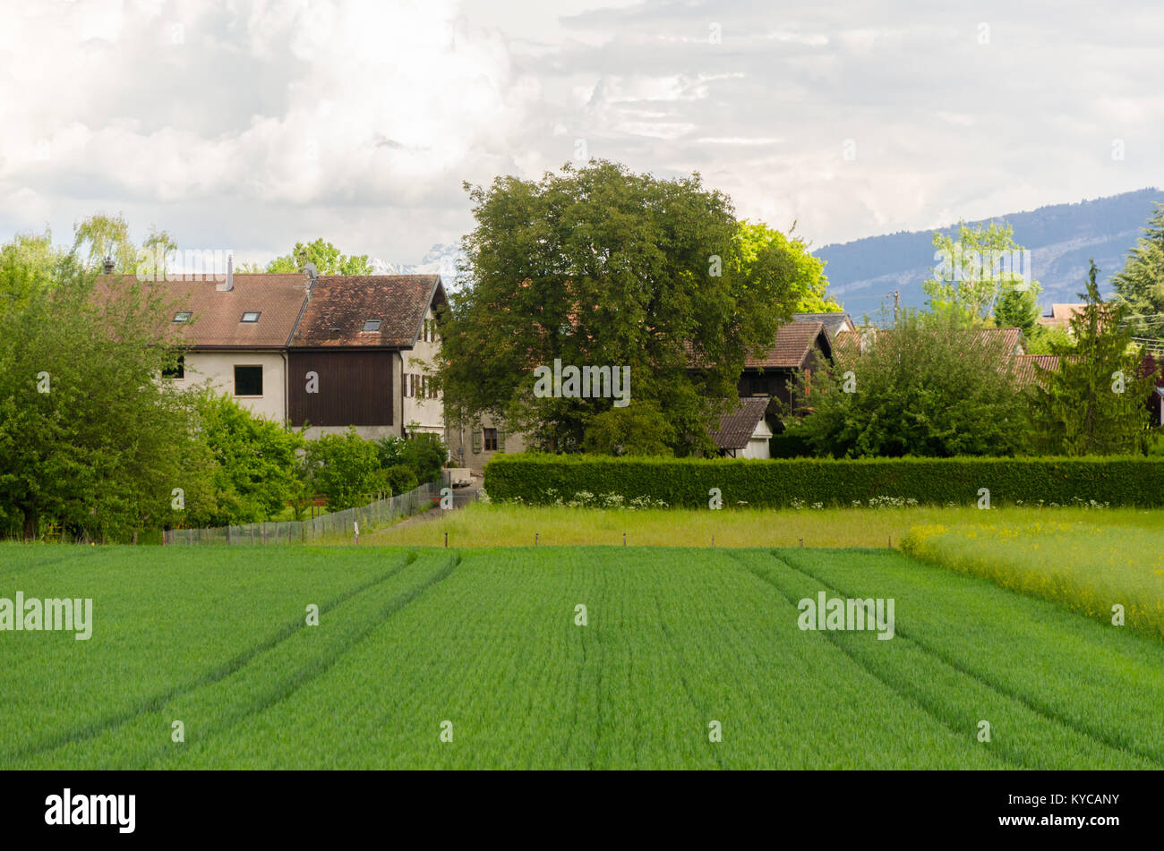 Tranquil French countryside scene with vintage houses and vast farmland ...