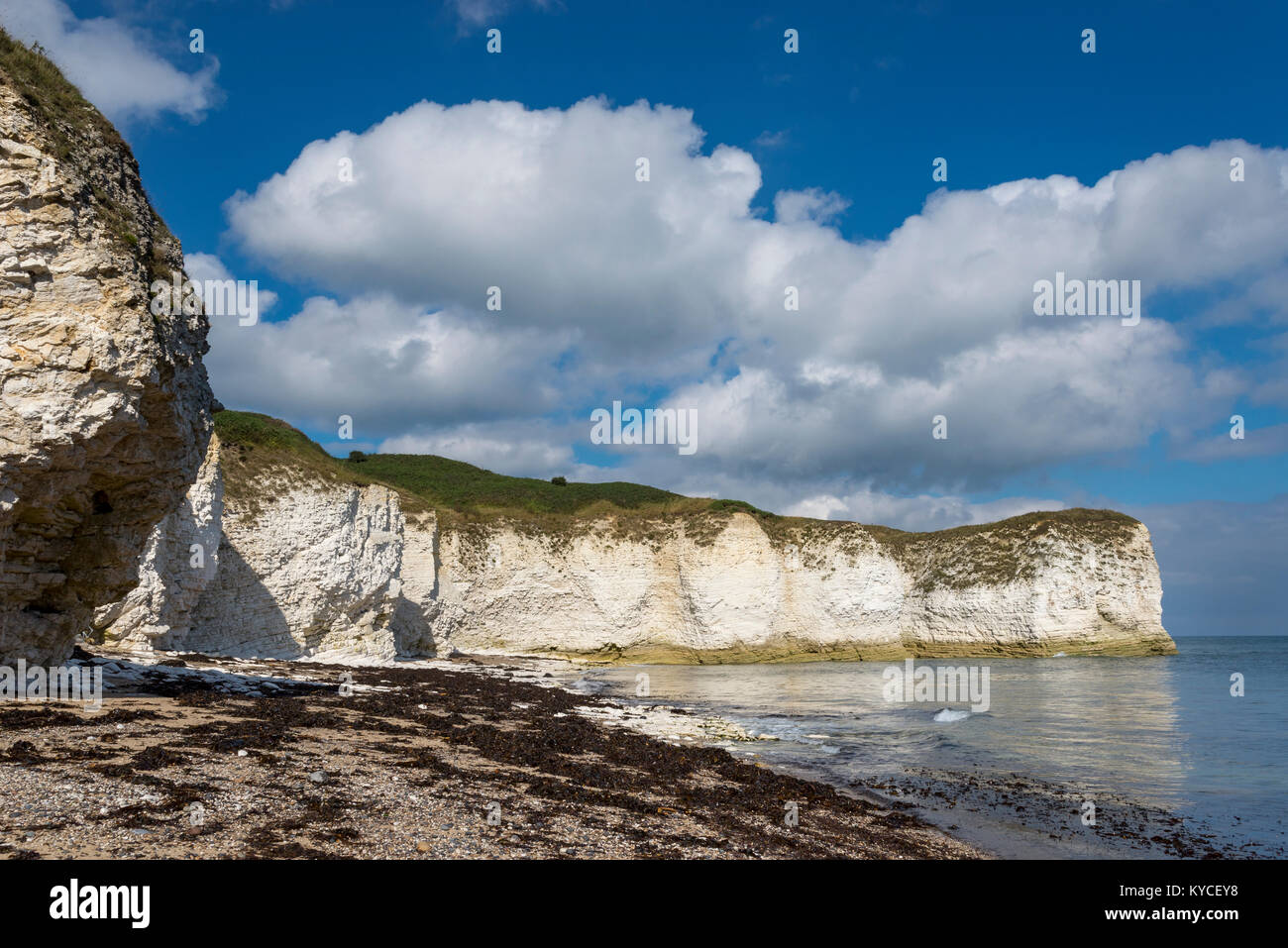 White chalk cliffs at Selwicks Bay on the east coast of England ...