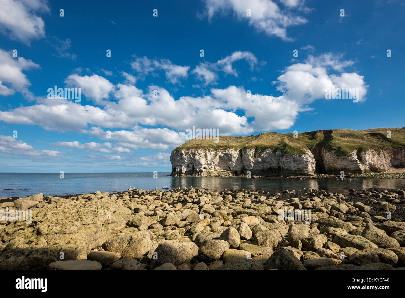 Chalk cliffs and caves at North Landing, Flamborough, North Yorkshire ...