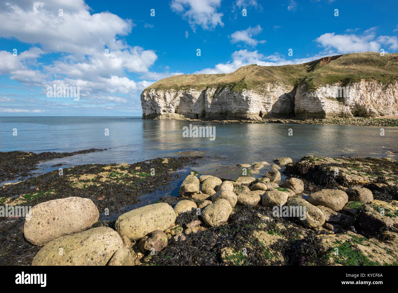 Chalk cliffs at North Landing, Flamborough, North Yorkshire, England ...