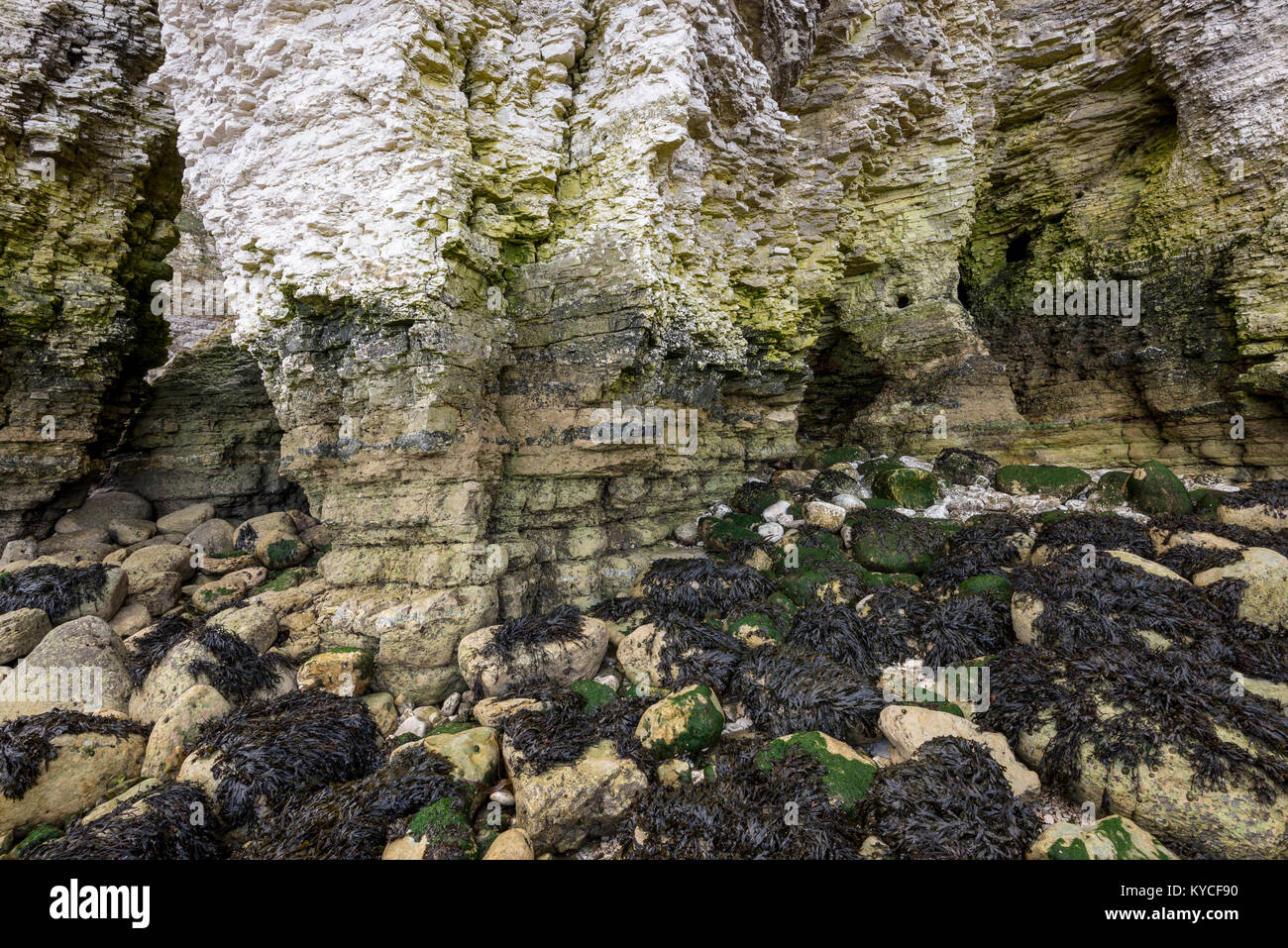 Chalk cliffs at North Landing, Flamborough, North Yorkshire, England ...