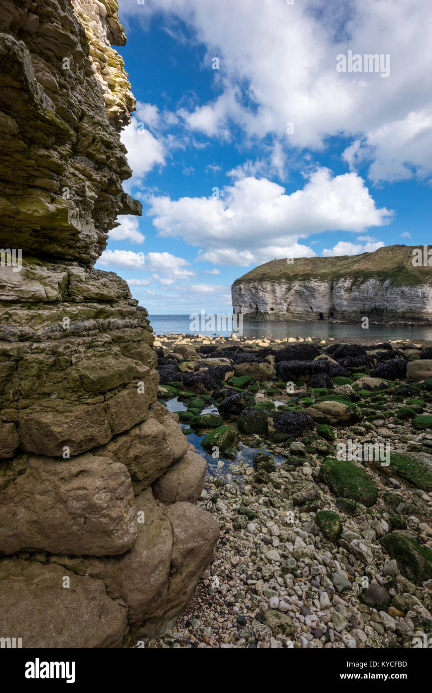 Chalk cliffs at North Landing, Flamborough, North Yorkshire, England ...