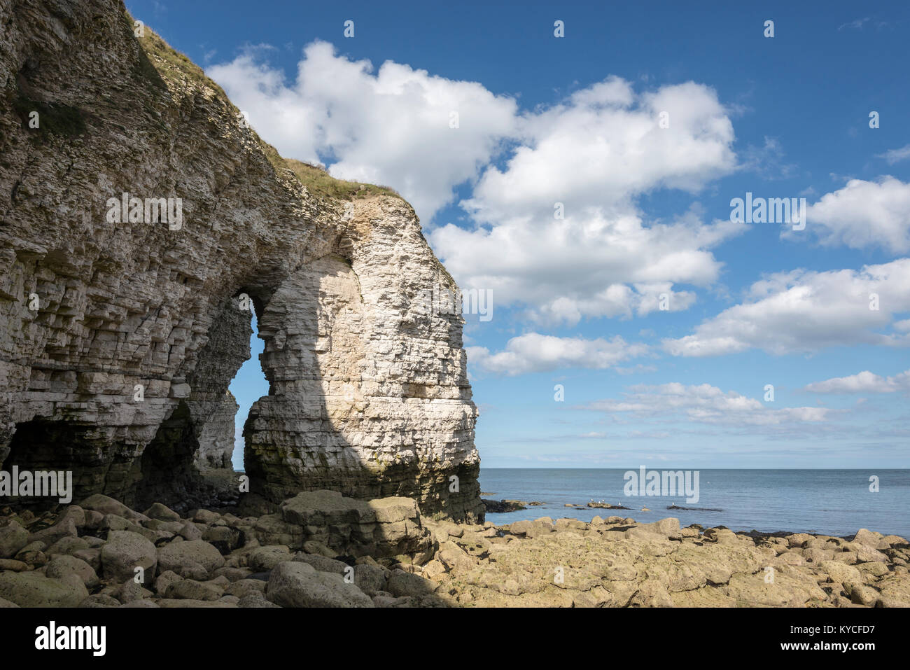 Chalk cliffs at North Landing, Flamborough, North Yorkshire, England ...