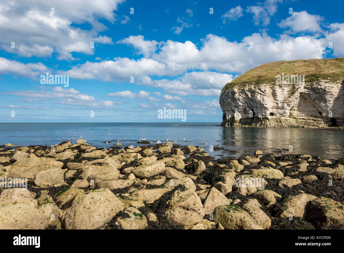 Chalk cliffs at North Landing, Flamborough, North Yorkshire, England ...