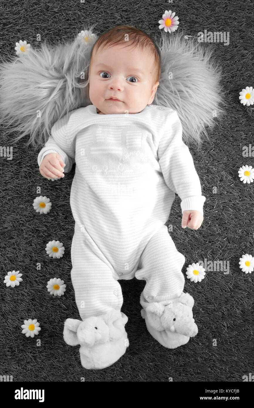 12 weeks hi-res stock photography and images - Alamy