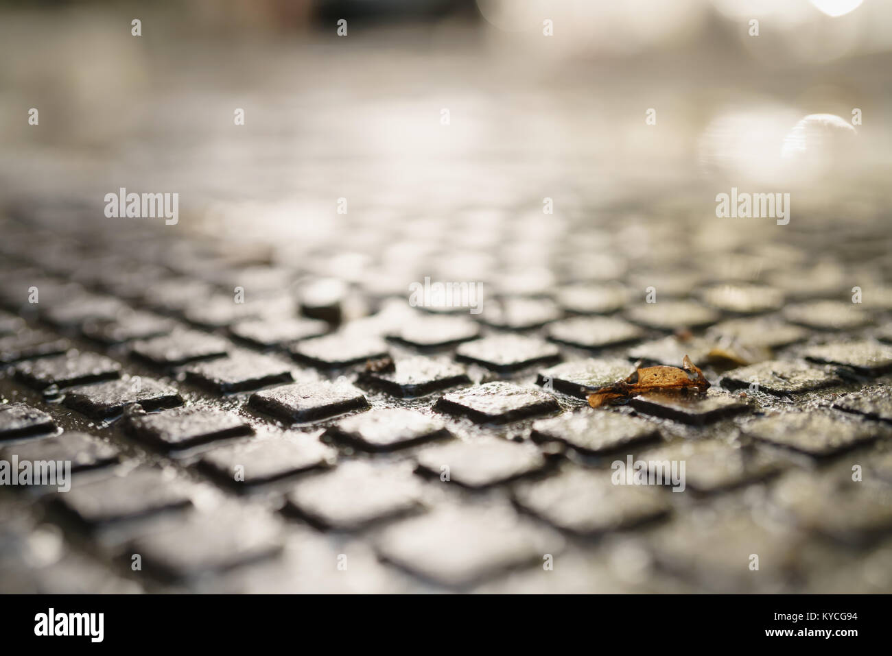old hatch on pavement with autumn leaves, high detailed Stock Photo - Alamy
