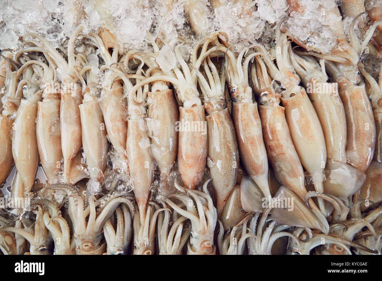 Calamari squid at the market hi-res stock photography and images - Alamy