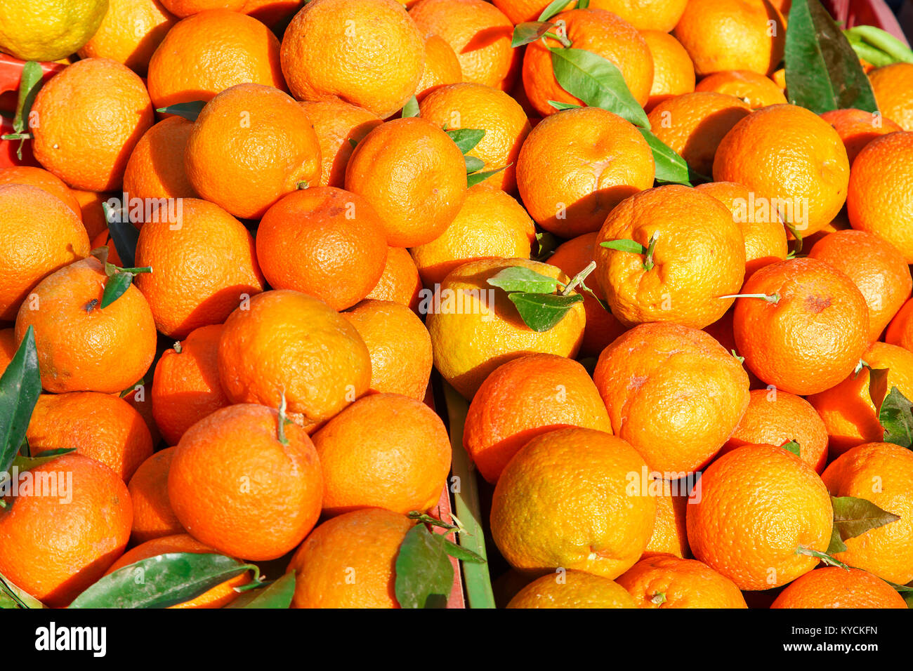 Mandarins in Tunisian market. Close-up fruit background Stock Photo - Alamy
