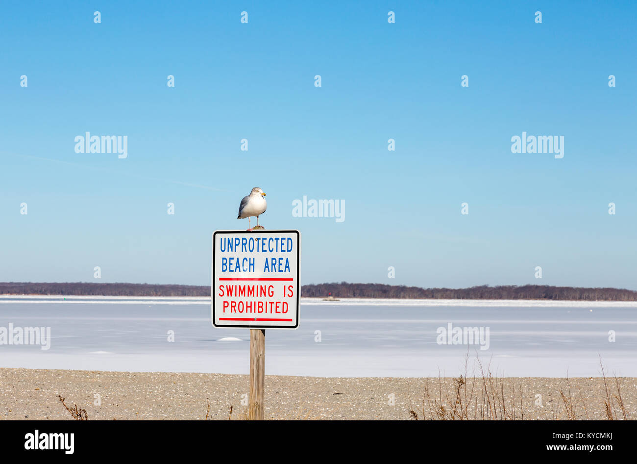 Seagull warning sign hi-res stock photography and images - Alamy