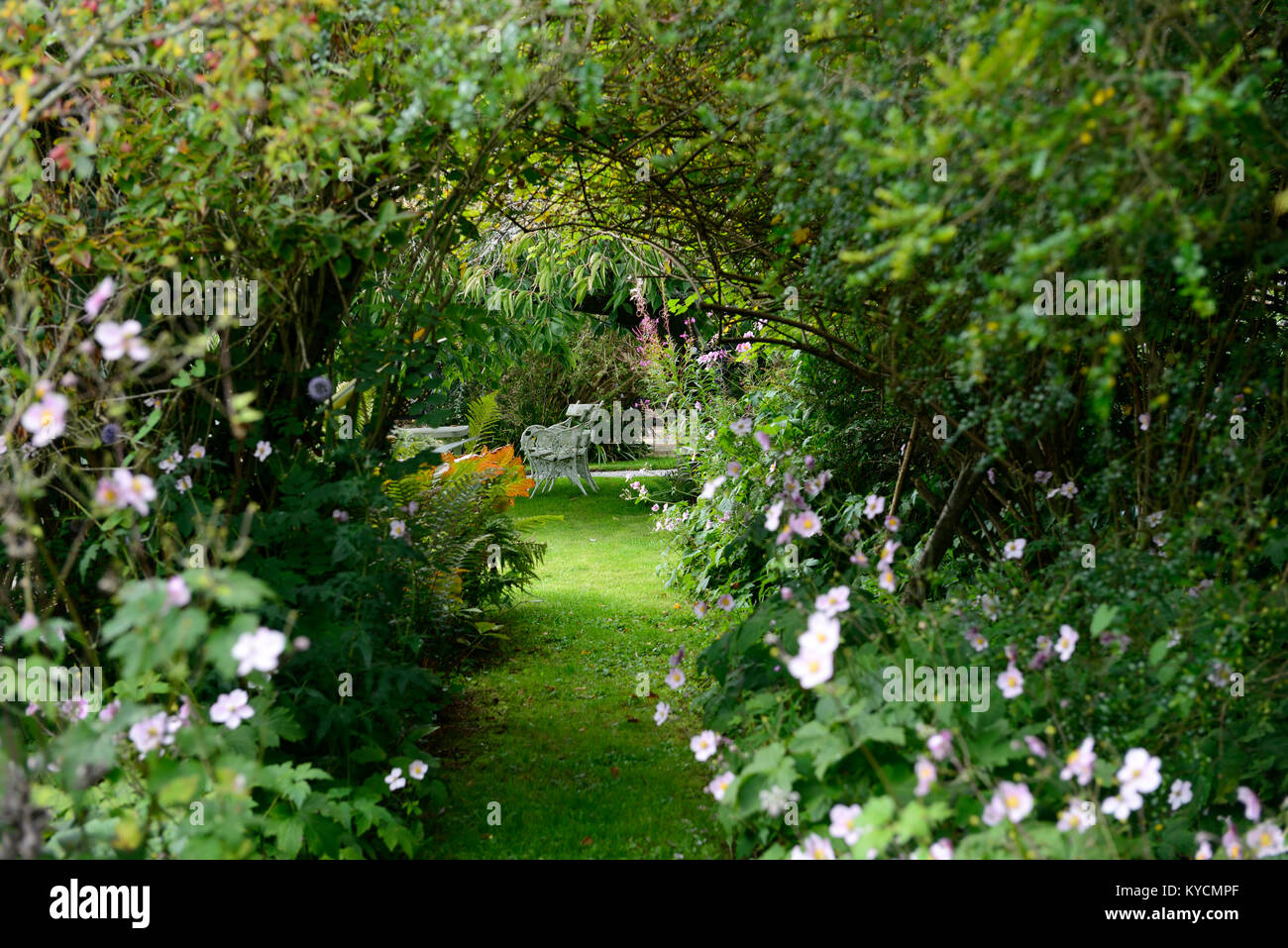 Overgrown gardens hi-res stock photography and images - Alamy