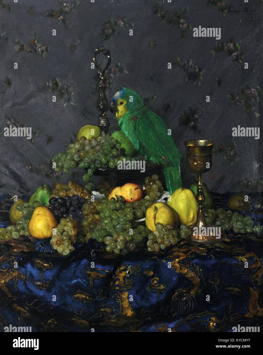 Still life with parrot hi-res stock photography and images - Alamy