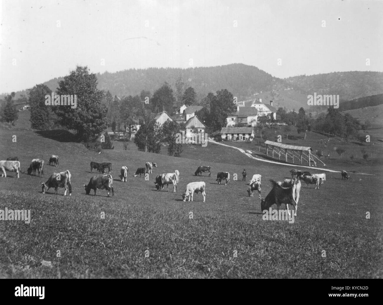 Nature folklore Black and White Stock Photos & Images - Alamy