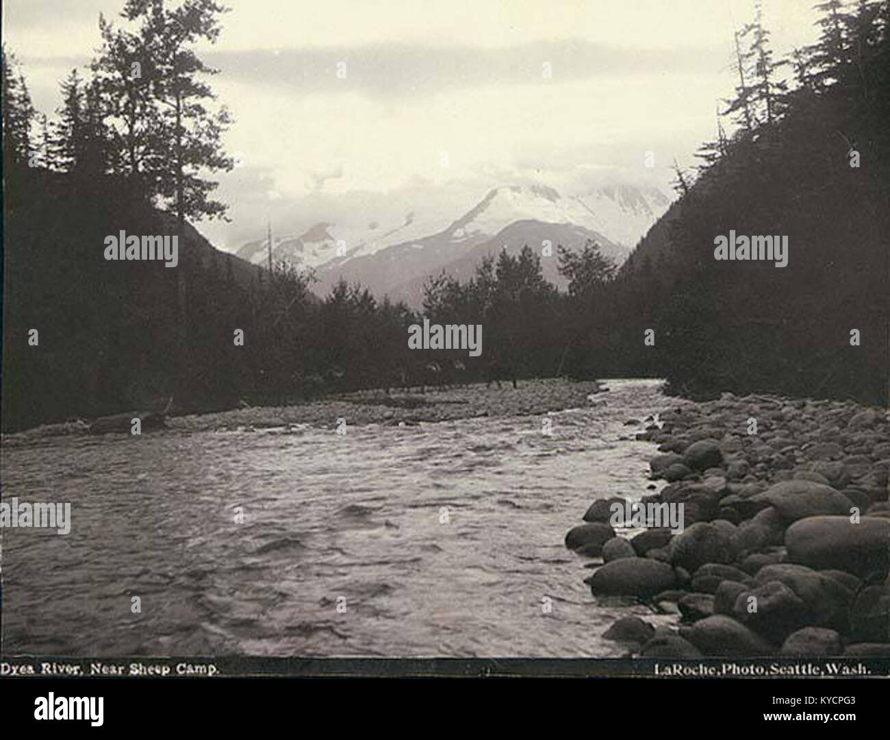 Photograph showing a packtrain crossing the Dyea River near Sheep Camp ...