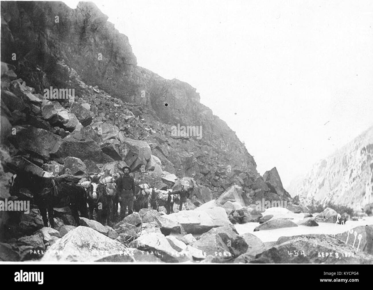 This photograph shows a packtrain traveling on the White Pass Trail ...
