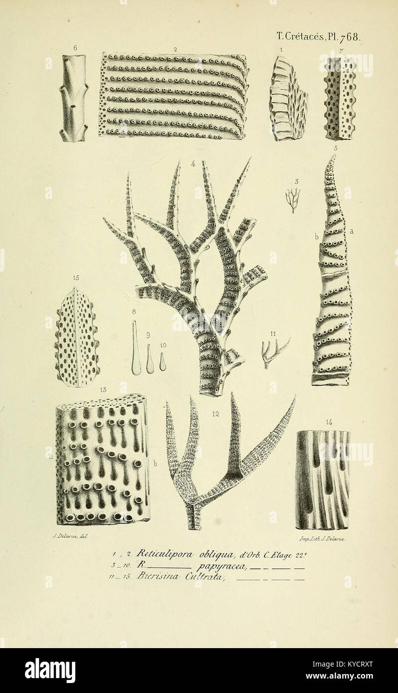 This reference to French paleontology highlights the study of ...