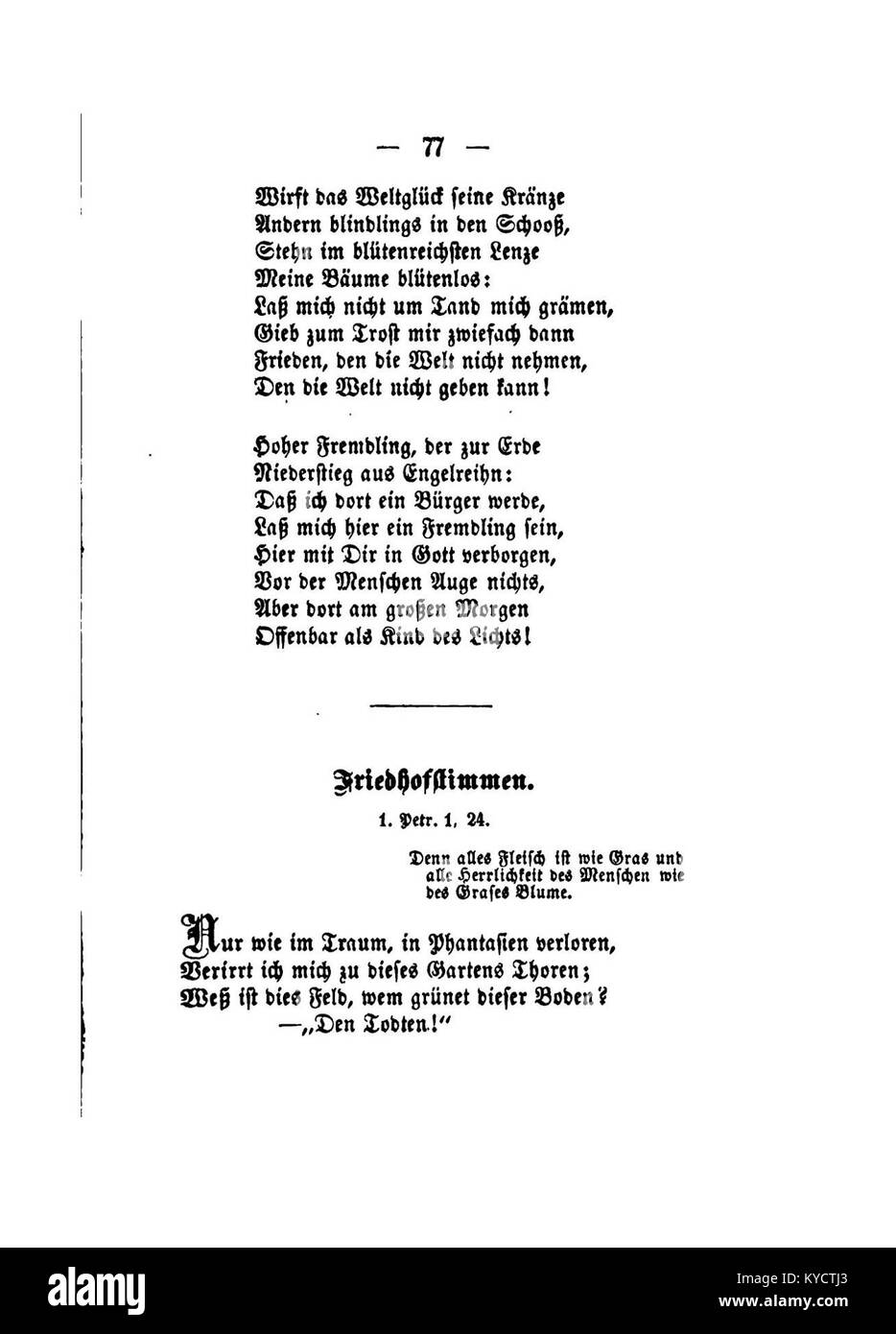 Detailed botanical illustration featuring Black and White Stock Photos ...