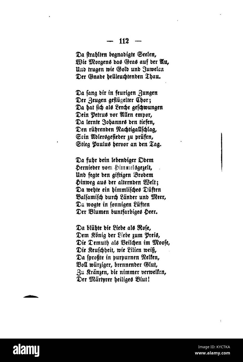 This image shows an illustration of palm leaves ('Palmblätter') from ...