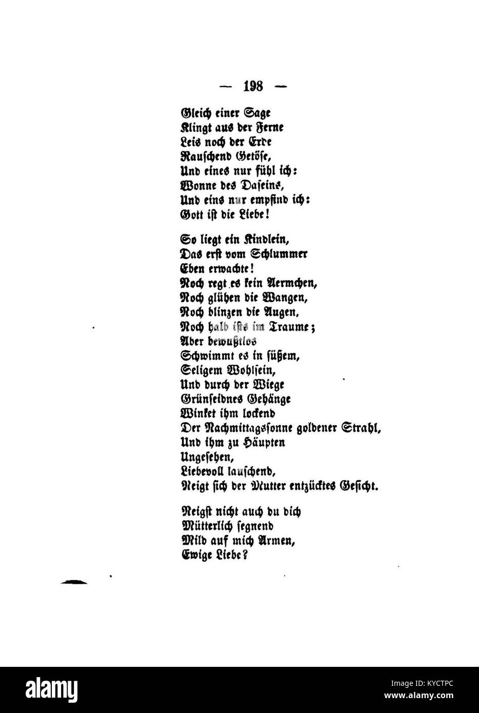 Photograph by Gerok showing palm leaves in close detail, documenting ...