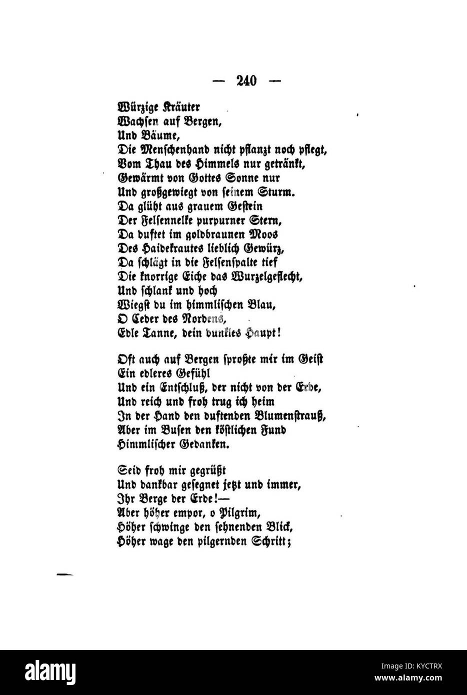 Palm botanical drawing 19th hi-res stock photography and images - Alamy