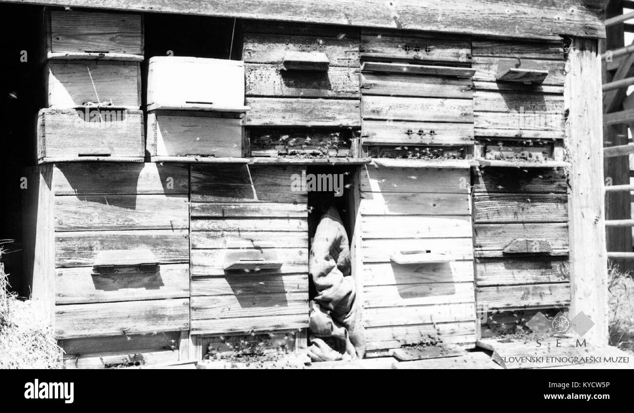 Panji Black and White Stock Photos & Images - Alamy