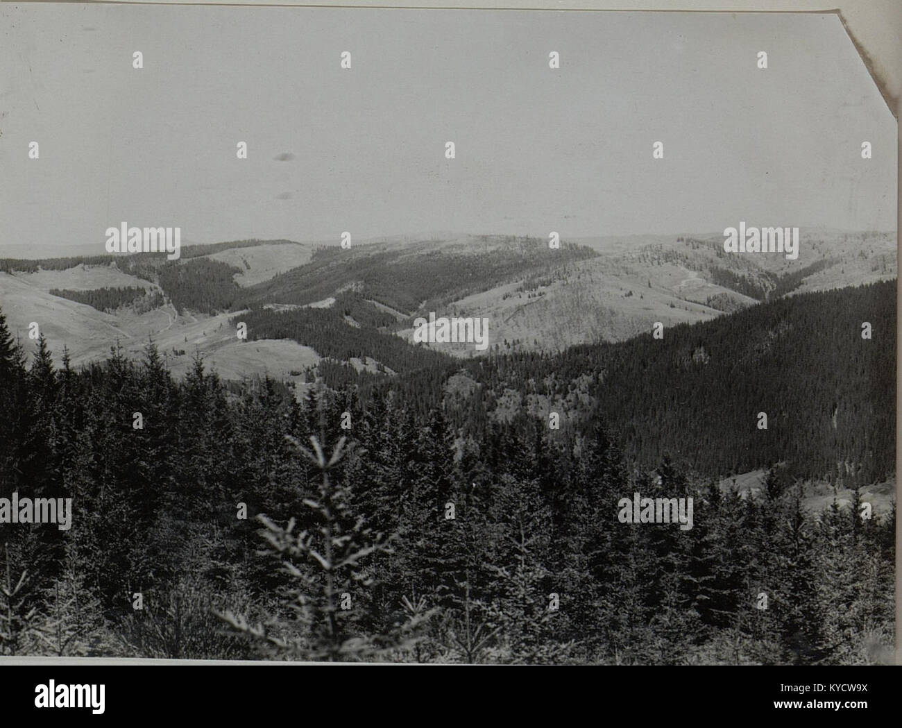 This panoramic image from 1384 meters elevation provides a wide view of ...