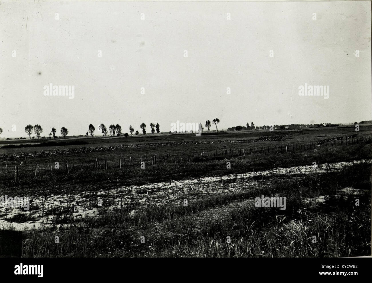 A World War I panoramic image showing the Russian foreground between ...