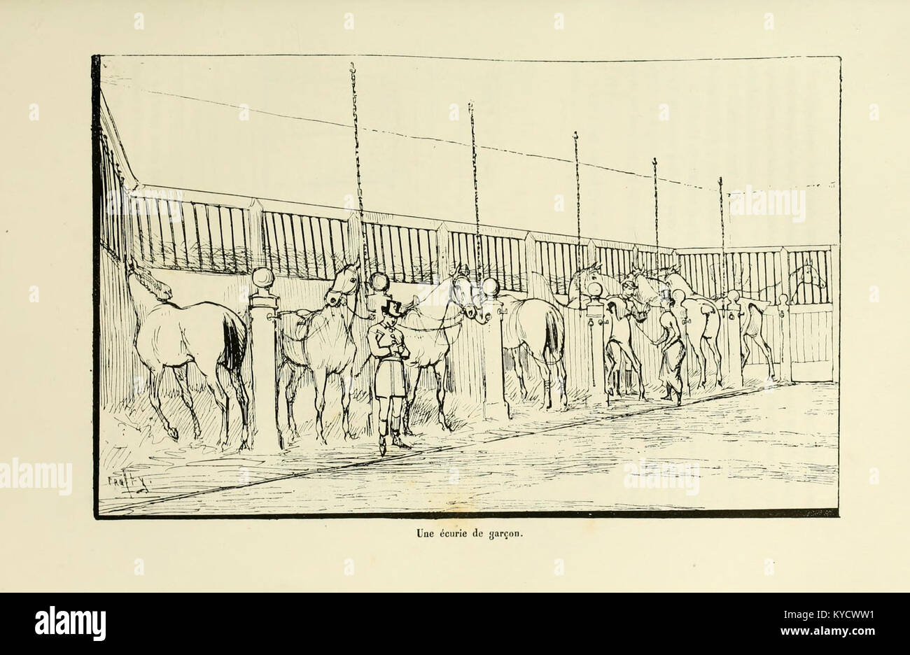 This page from a publication contains an image or discussion of horses ...
