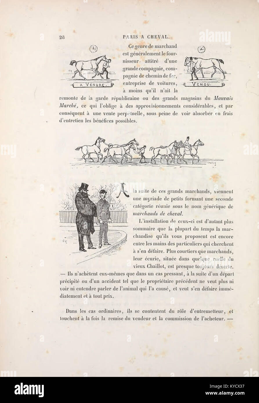 Bnf image hi-res stock photography and images - Alamy