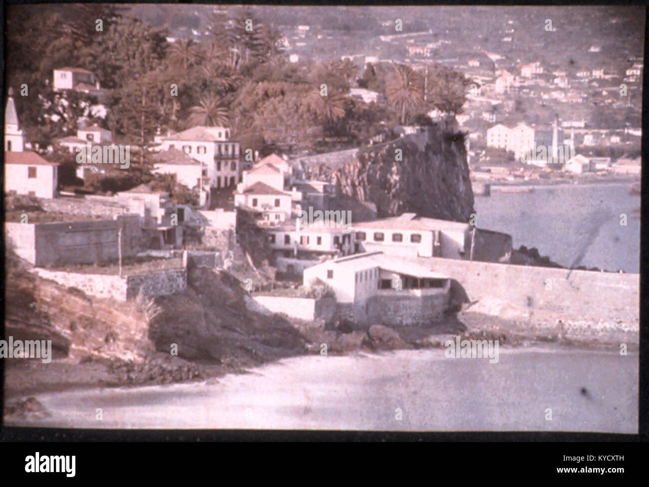 Part of Funchal, Madeira, with Bay and Jetty, by Sarah Angelina Acland ...