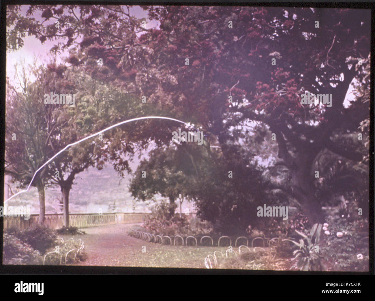 A color photograph by Sarah Angelina Acland circa 1910 showing part of ...