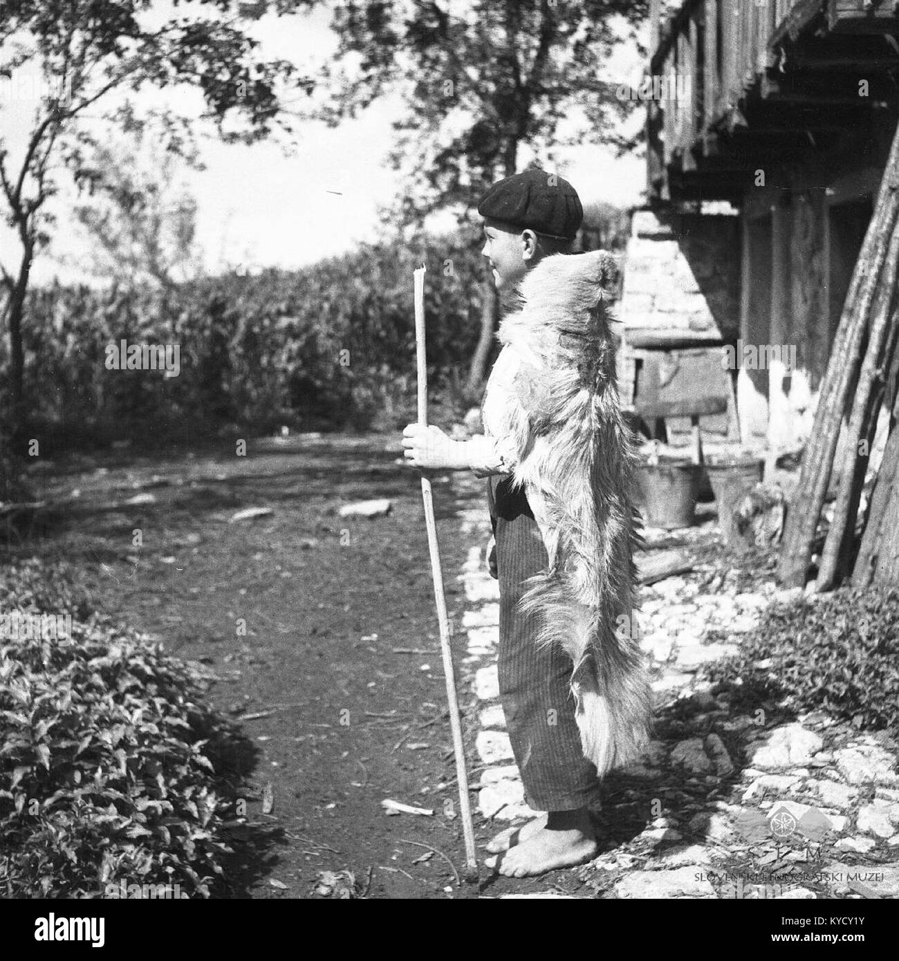 This 1951 photograph from Robidisce, Slovenia, captures a shepherd with ...