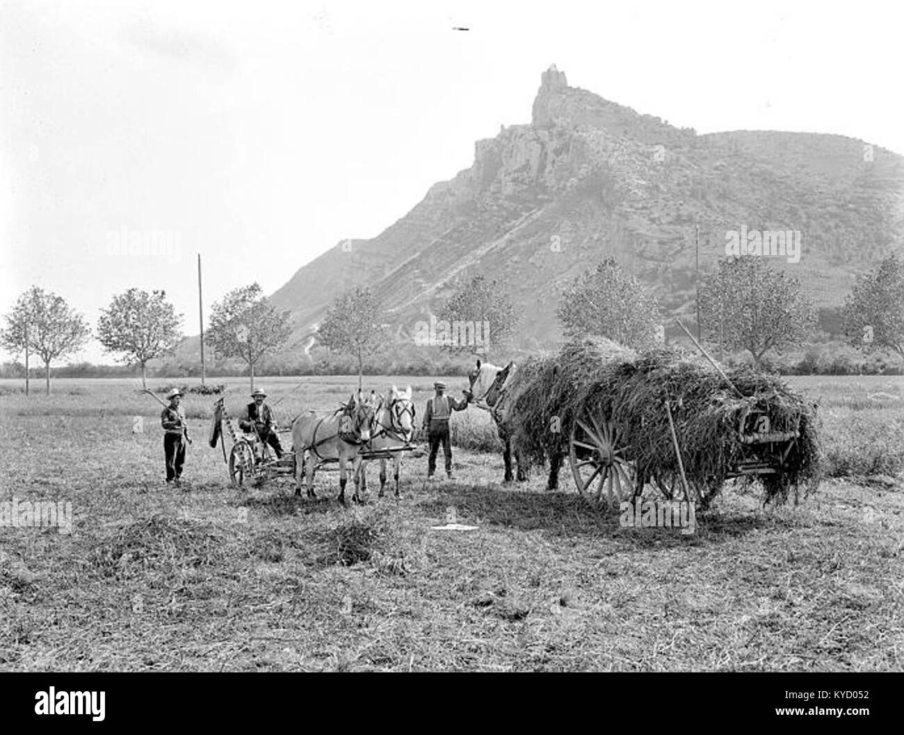 Farmers gathering in hay in Black and White Stock Photos & Images - Alamy