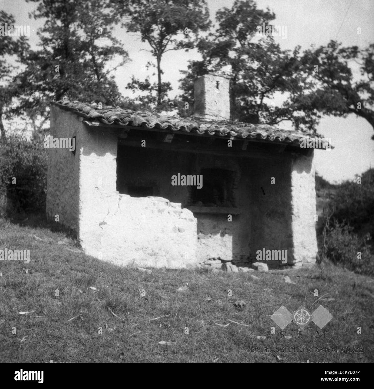 Prostem hi-res stock photography and images - Alamy