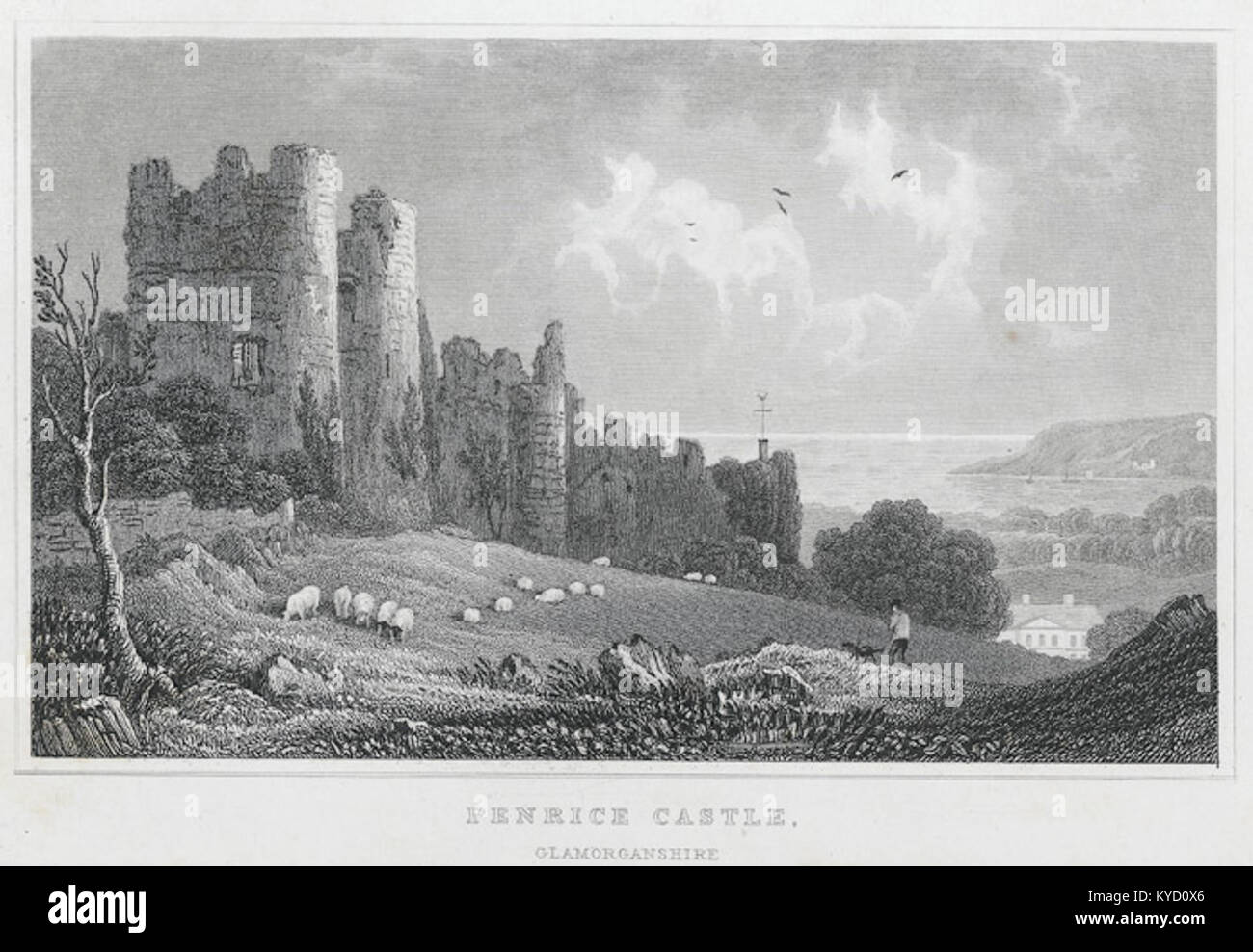 Penrice Castle High Resolution Stock Photography and Images - Alamy