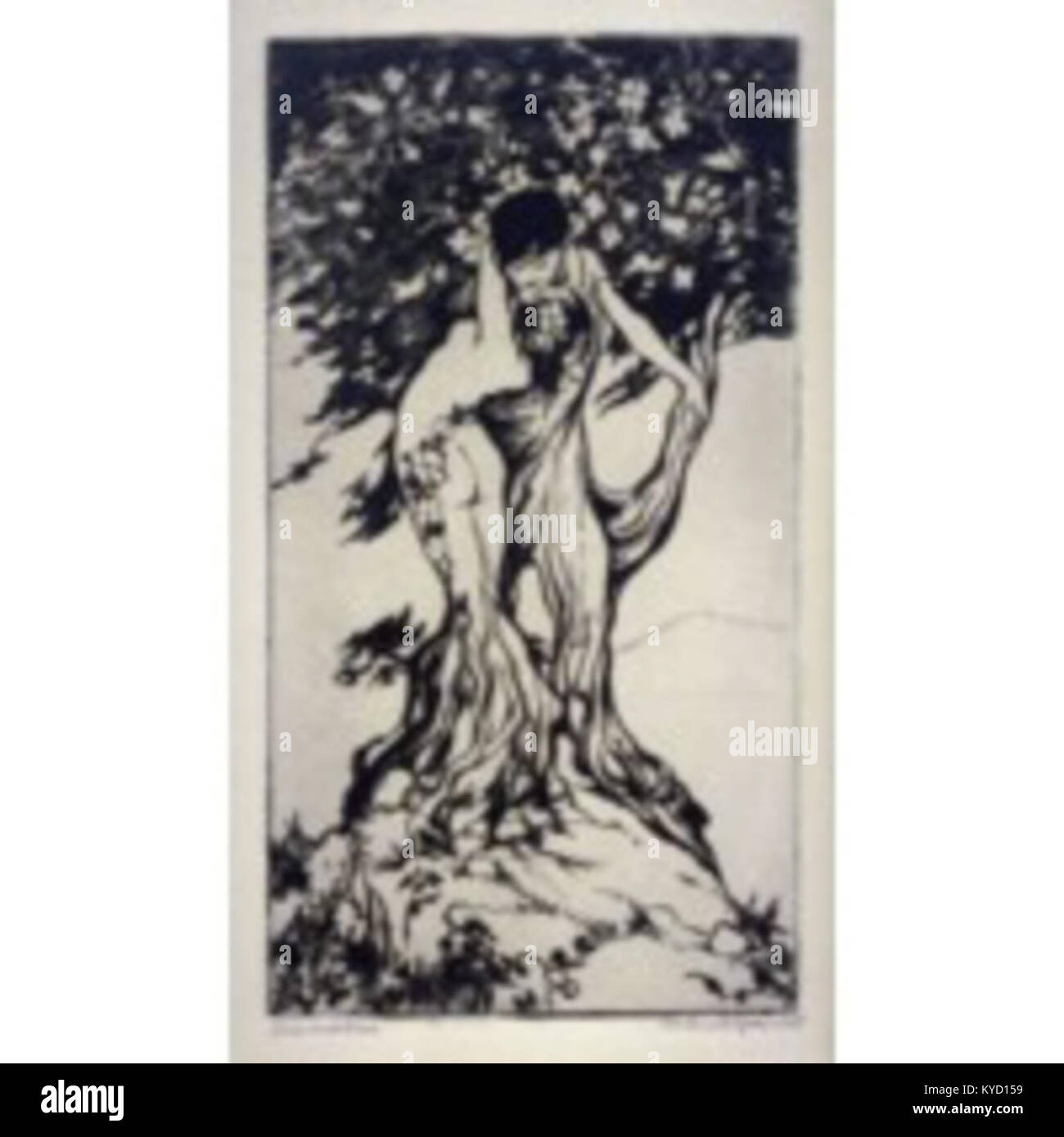 Perham Wilhelm Nahl, Tree and Vine Stock Photo - Alamy