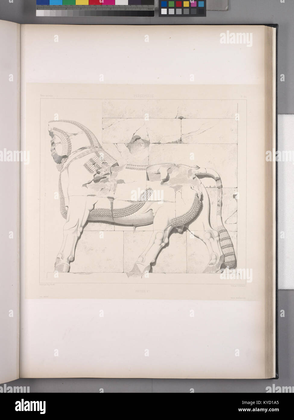 This artwork depicts a profile view of a bull from the ruins of ...