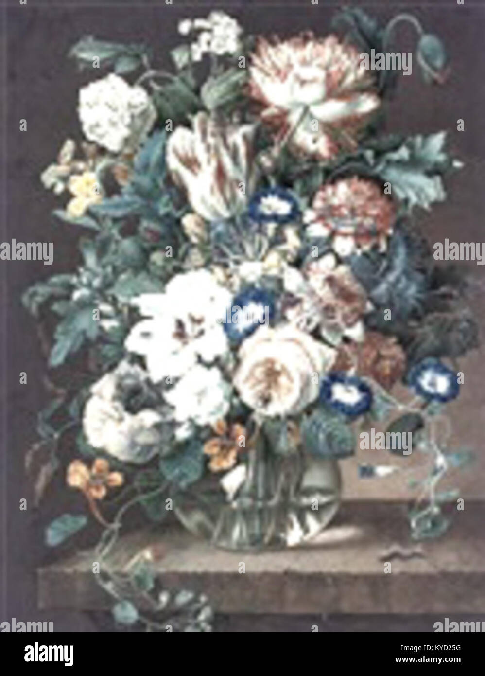 'Still Life' by Phoebe Dighton captures the traditional genre of ...