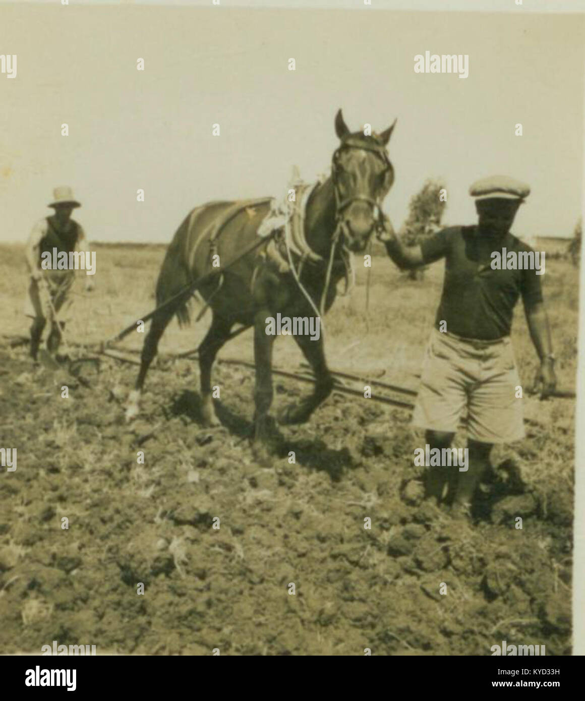 An image from PikiWiki Israel, depicting agricultural practices in ...