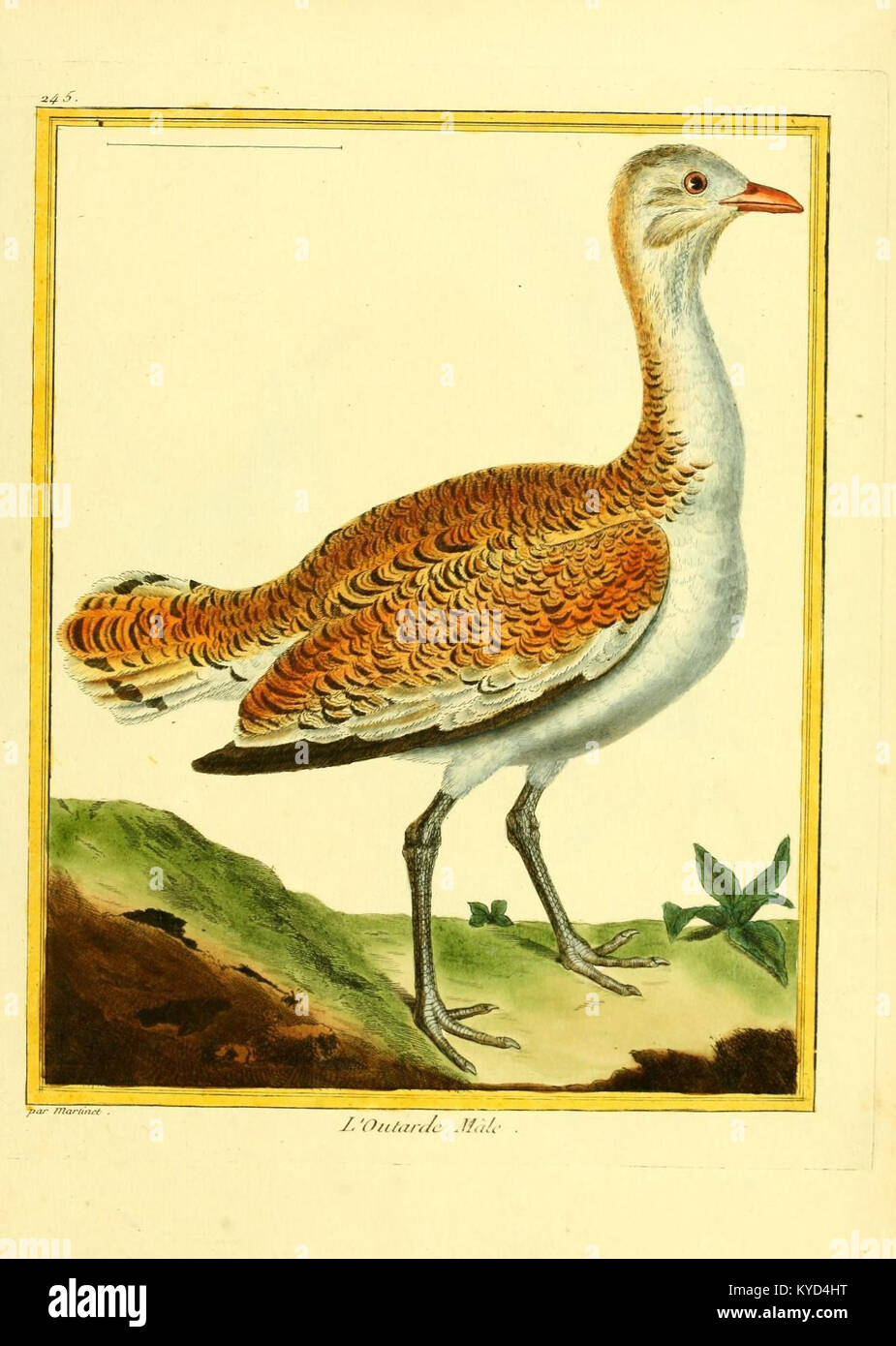 This illuminated manuscript contains vibrant and detailed illustrations ...