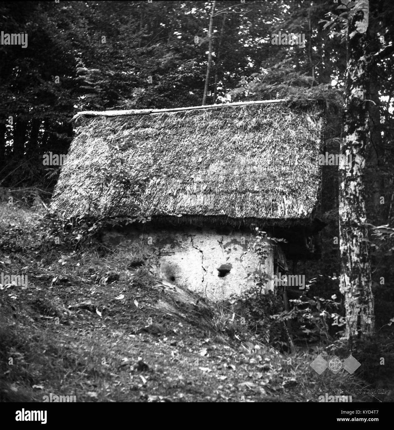 A 1954 photograph of the Planinceva pajstva, a traditional agricultural ...