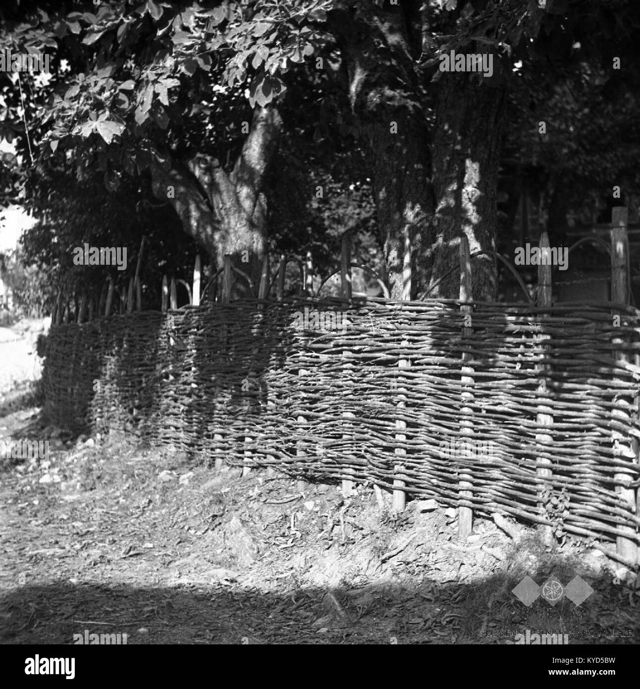 Land cleared Black and White Stock Photos & Images - Alamy