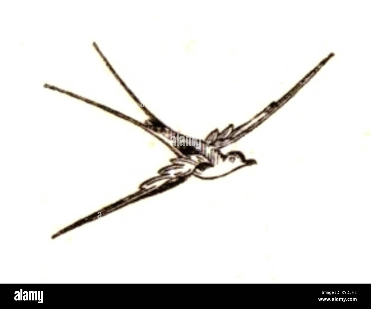 PL Artur Oppman - Pieśni no012a Stock Photo - Alamy