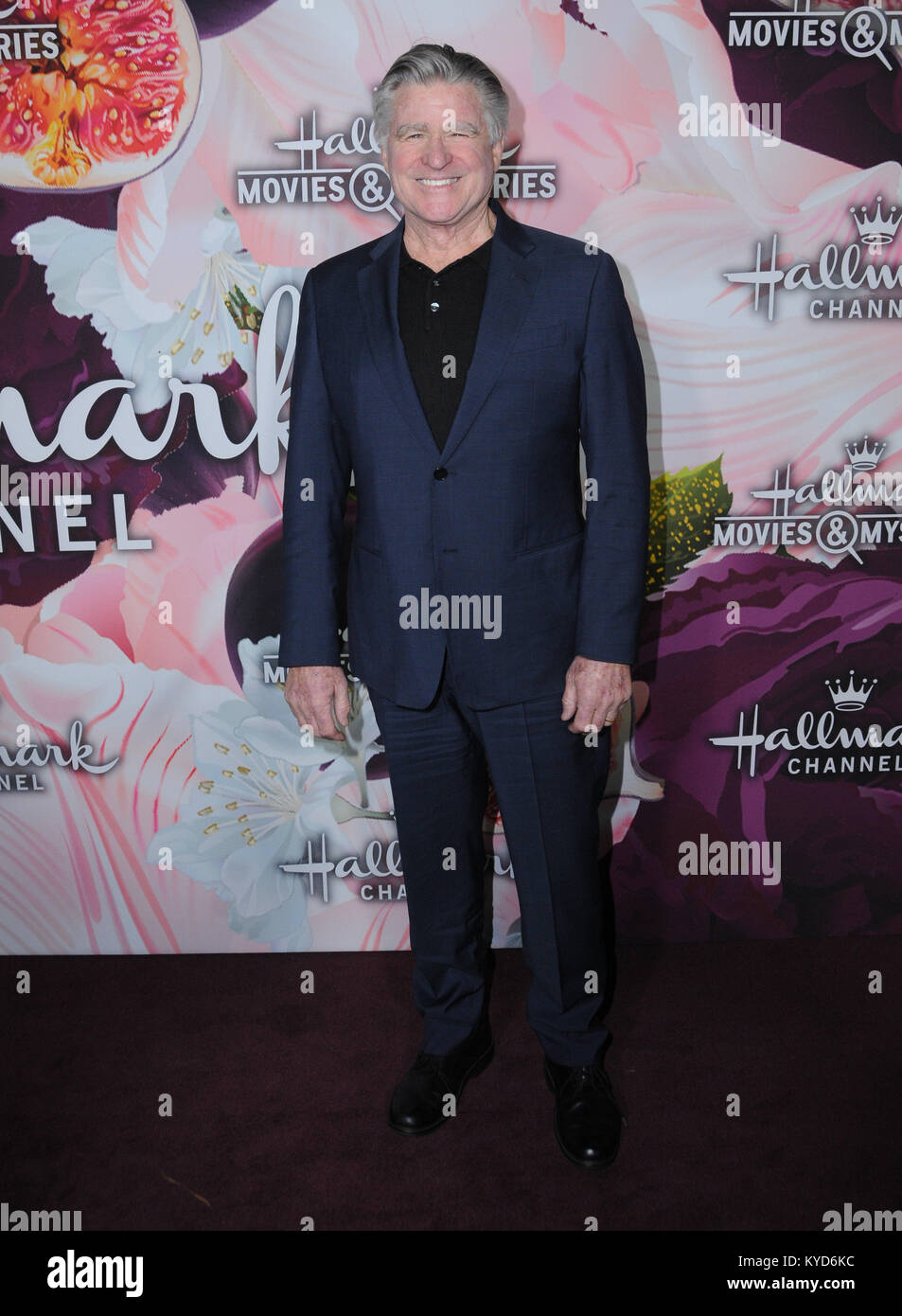 Elegant Treat Williams Hallmark Movies Images