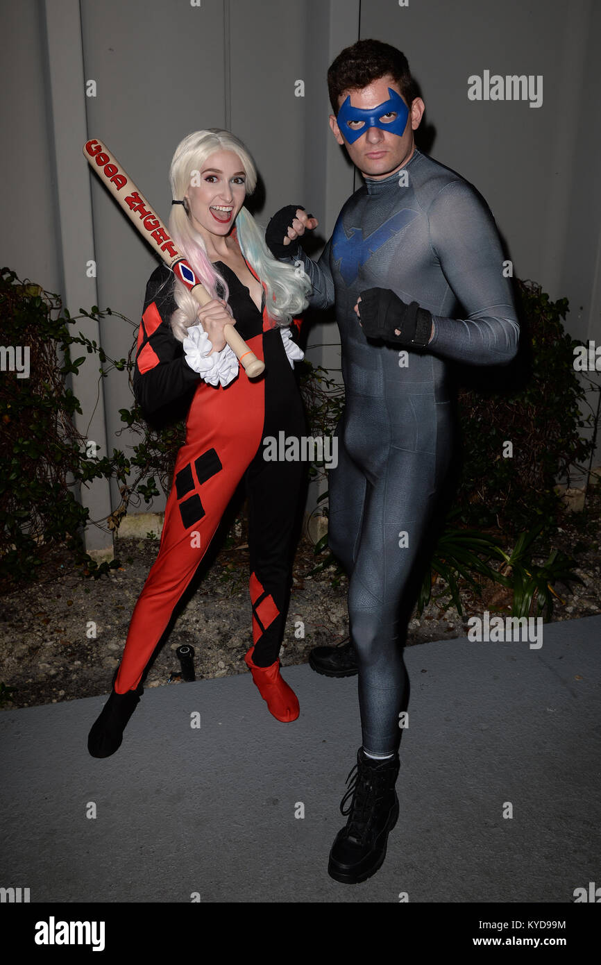MIAMI, FL - JANUARY 13: Cosplayers attend the Paradise City Comic Con ...