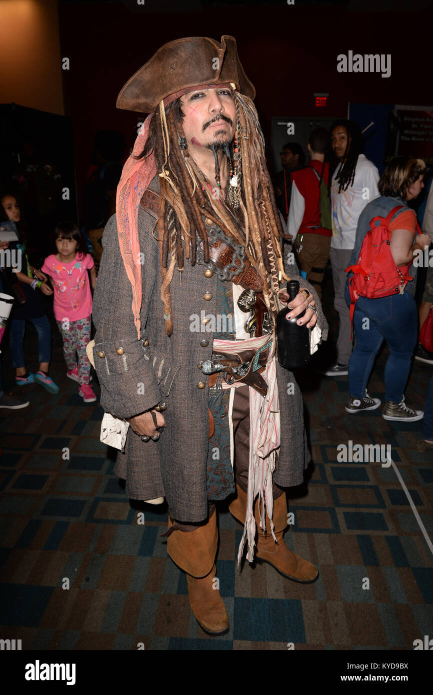 MIAMI, FL - JANUARY 13: Cosplayer attends the Paradise City Comic Con ...