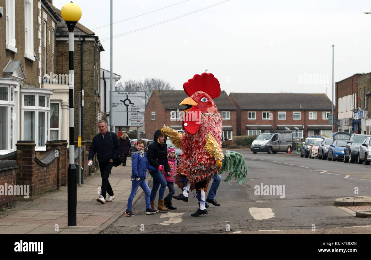 Morris chicken hi-res stock photography and images - Alamy