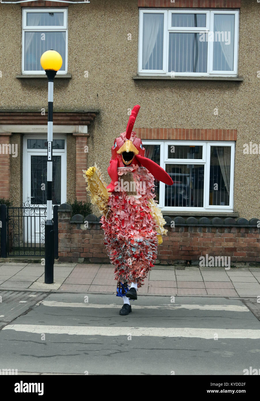 Morris chicken hi-res stock photography and images - Alamy