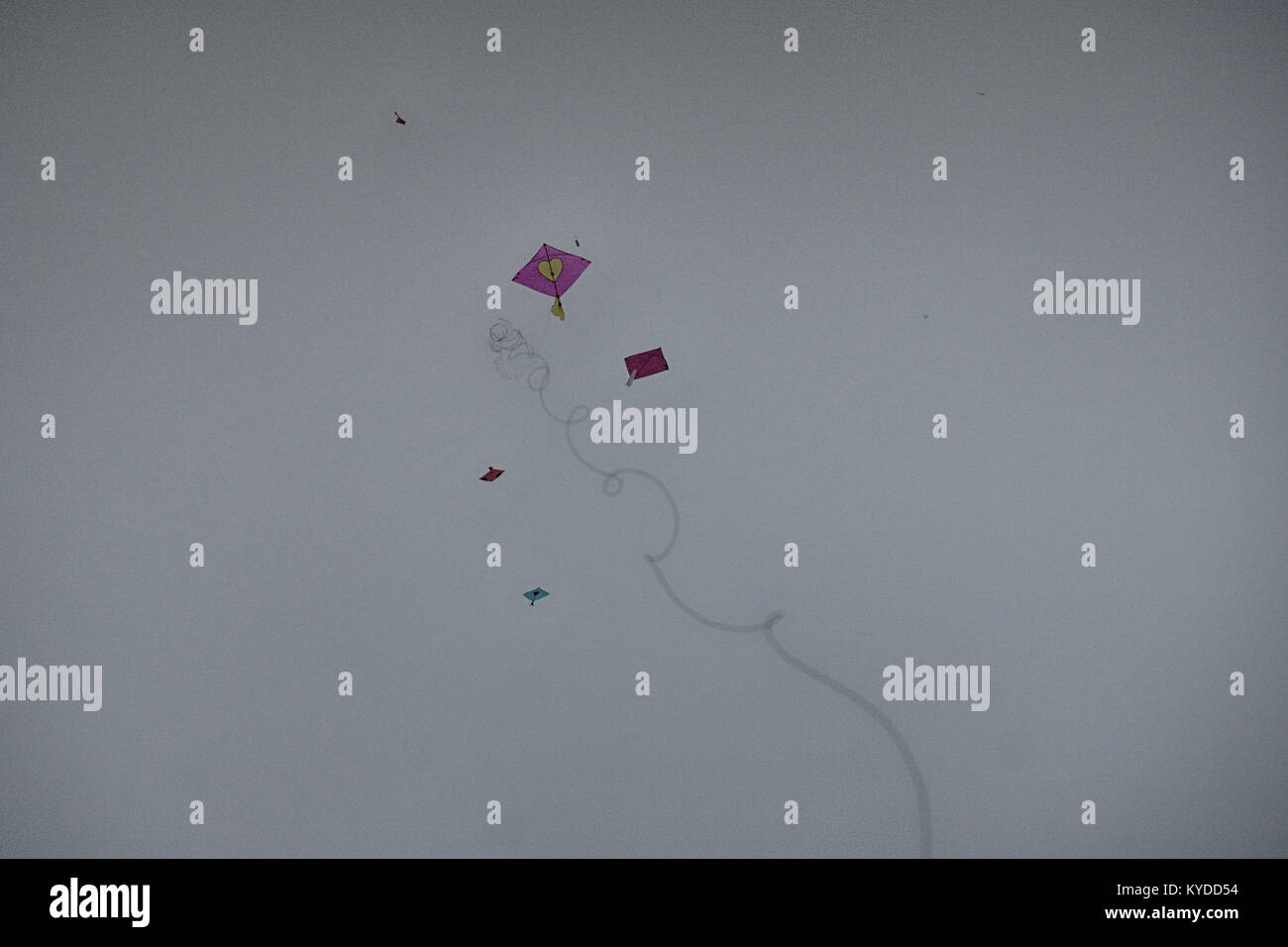 Dhaka, Bangladesh. 14th Jan, 2018. A kite is falling down from the sky ...