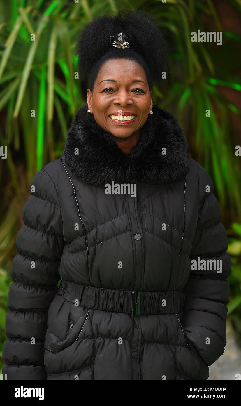 Peter lord early man hi-res stock photography and images - Alamy